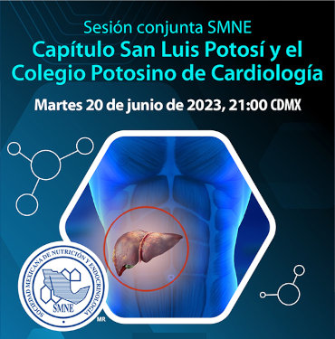 Sesiones Capítulos | SMNE