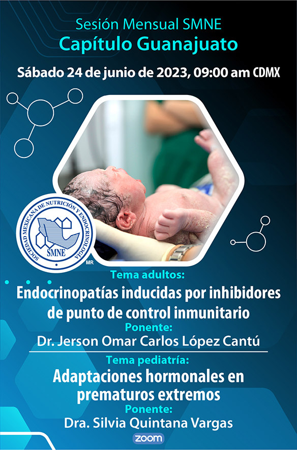 CAPITULO GUANAJUATO SESION | SMNE