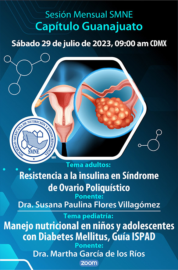 CAPITULO GUANAJUATO SESION | SMNE