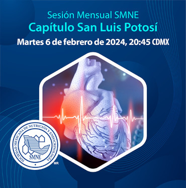 Sesiones Capítulos | SMNE